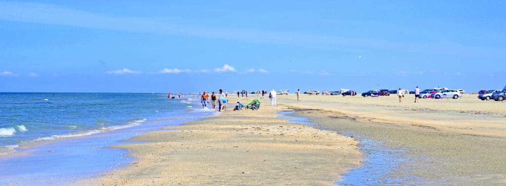 Rømø ophold med Østers, Ørne og Rav – Sinex Rejser